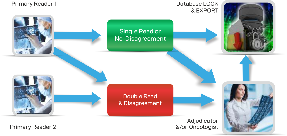 Enhancing Medical Imaging Analysis Efficiency with DiSoft